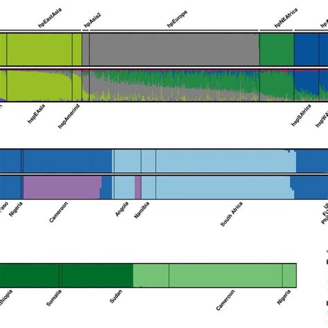 Bayesian Population Assignments Using Structure 20 A Distruct Plot