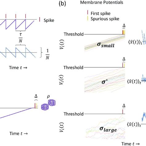 Tight Balance Spiking Network Dynamics And Readout A Nominal Download Scientific Diagram