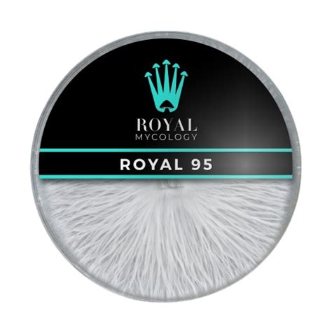 Royal 95 Agar Plate Royal Mycology