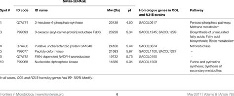 Details Of The Most Distinct Differentially Expressed Protein Spots