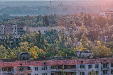 잃어버린 도시 프리피야트의 공중 전경 나무로 자란 빈 콘크리트 바닥의 많은 체르노빌 원자력 발전소 사고 후 33년 동안 피난 후 프리피야트 건축에 대한 스톡 사진 및 기타