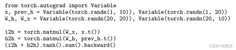 Pytorch 自动微分论文翻译及解释automatic Differentiation In Pytorch Csdn博客