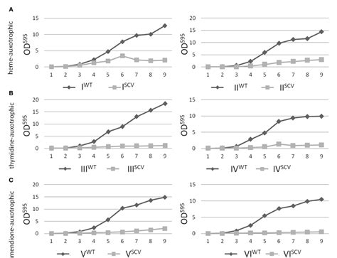 Figure 1 From Staphylococcus Aureus Small Colony Variants Show Common Metabolic Features In