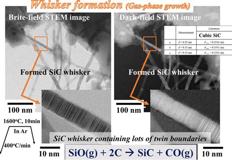 Stem‐image Of The Whisker‐like Product Download Scientific Diagram