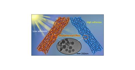 Light Controlled Adhesive Hydrogels For On Demand Adhesion Chem And Bio Engineering