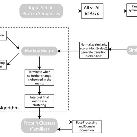 flowchart of the tribe mcl algorithm download scientific diagram