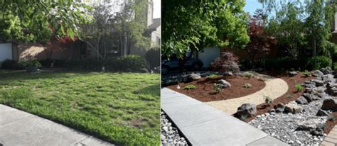 Options To Replace Your Lawn