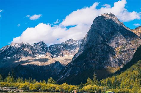 local search algorithms hill climbing simulated annealing and