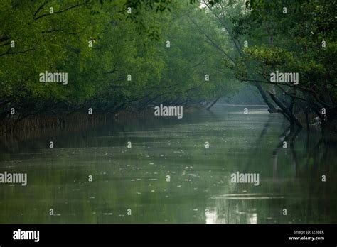 View Of The Sundarbans A Unesco World Heritage Site And A Wildlife Sanctuary The Largest