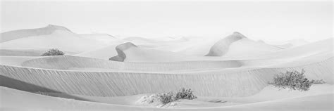 Wu Wei And The Art Of Effortless Action René Algesheimer Photography