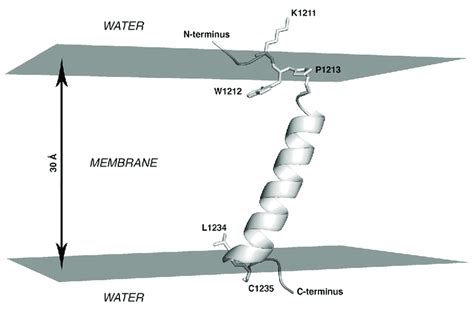 Lowest Energy State For Monomeric S Tmd Derived Via Monte Carlo