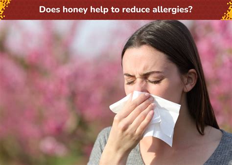 Does Honey Help To Reduce Allergies Hive Loops