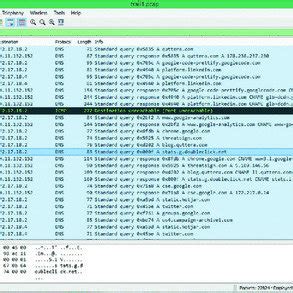 Capturing Packets Using Wireshark Download Scientific Diagram