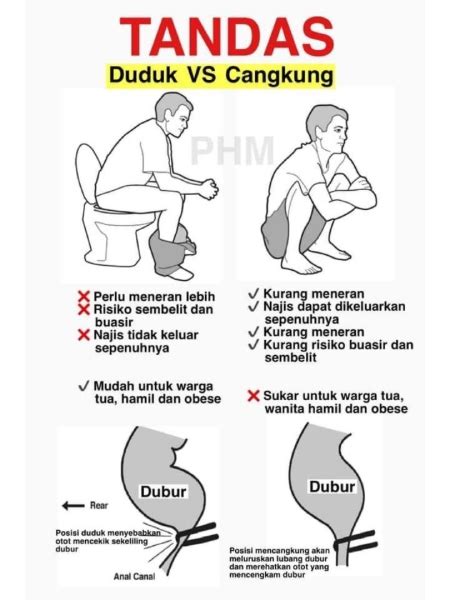 Jenis Tandas Cangkung Atau Duduk Yang Lebih Baik Untuk Berak