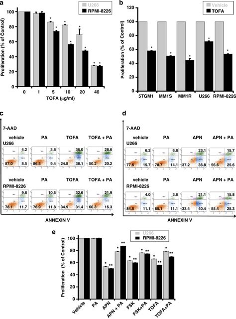 Tofa Inhibits Proliferation And Induces Apoptosis Of Mm Cells And Download Scientific Diagram
