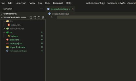 Webpack 5 入門：pnpm Webpack5