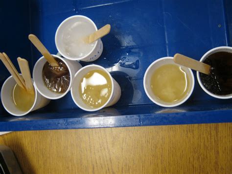 First Grade Circle Science Freeze Experiment