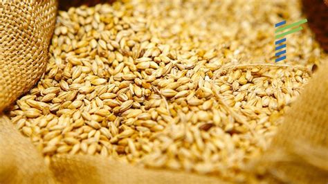 Enhance Line Management And Scheduling For Streamlined Operations Enhance Line Management And Scheduling For Streamlined Operations