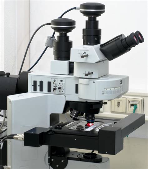 What Are The Different Types Of Microscopes With Pictures