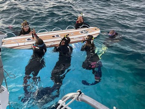 Snorkel And Manta Ray Adventures In Hawaii International Gap Year