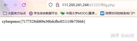 xctf training robots 知乎