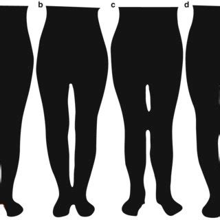 Variations In Leg Shapes A The Ideal Shape Of The Legs Is Often Download Scientific