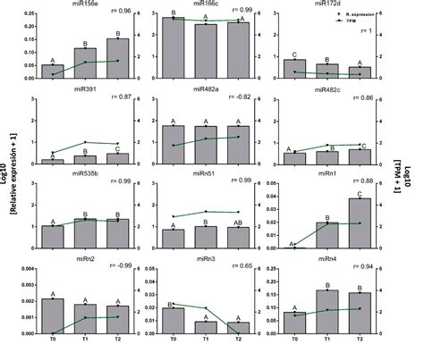 Figure 4 From Small Rna Differential Expression Analysis Reveals Mirnas Involved In Dormancy
