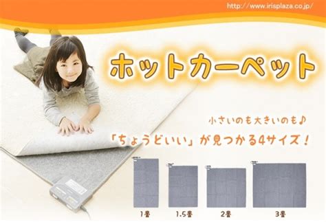 ちょうどいいサイズを4種から選べる「電気ホットカーペット」 J Cast トレンド