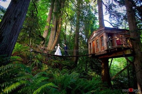 Rainforest Hotel Built In The Trees Tree House Point Captivatist