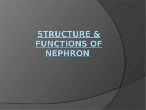 Pptx Structure And Functions Of Nephron Assignment Dokumen Tips