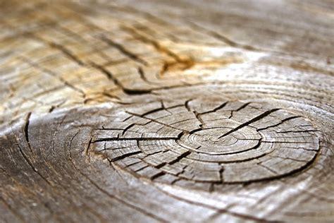 木头 结构体 质地 Pixabay上的免费照片 Pixabay