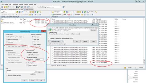winscp