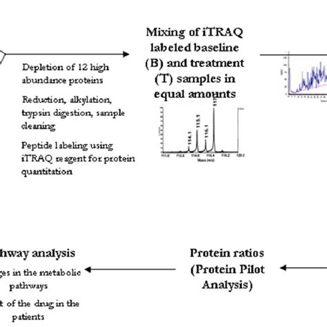 Experimental Design Of The Study 2D LC Two Dimensional Liquid Download Scientific Diagram