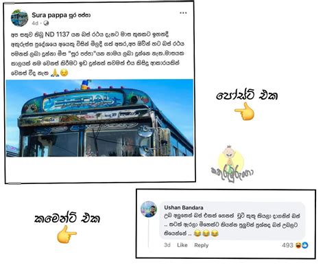 Kathurumurunga Kathurumurunga කතුරුමුරුංගා