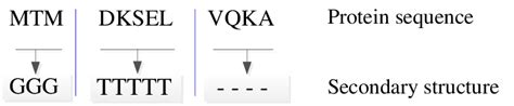 Secondary Structure Segmentation The Protein Sequence Is Segmented By Download Scientific
