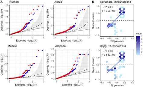 conserved effects of regulatory variants across humans and livestock
