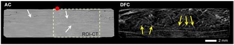 loaded cfrp sample impact load 5 j ilss test visualized by xct ac