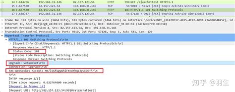 揭开WebSocket的神秘面纱利用Wireshark的抓包分析 知乎