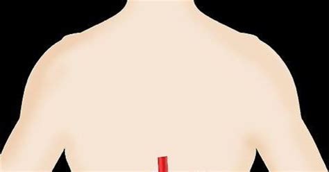 신장 손상 인지기능 저하와 연관있다