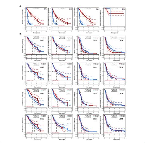 Kaplan Meier Survival Analysis Of Nrgs In Lgg And Gbm Kaplan Meier Download Scientific