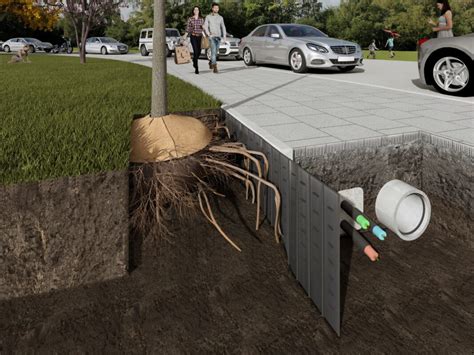 Tree Root Guard At Lilian Dixson Blog