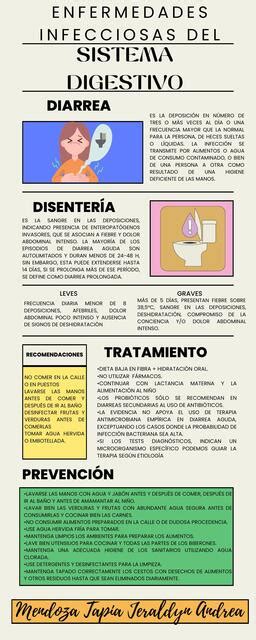 Enfermedades Infecciosas Del Sistema Del Sistema Digestivo Jasmine