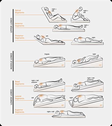 The Essential Lab Equipment A Guide To Test Tube Stands