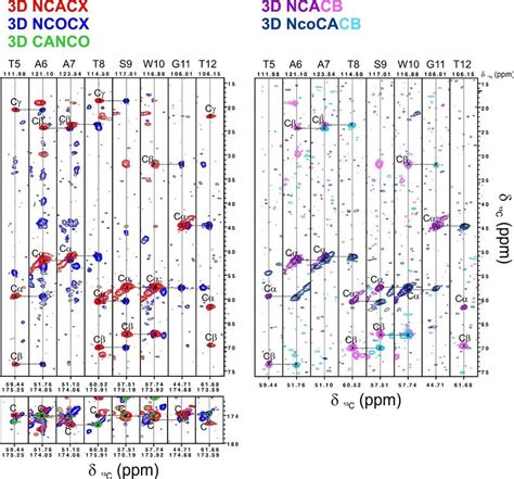 Figure S2 Representative Resonance Assignment Of Microcrystalline Rsl
