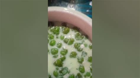 Motcha Cereal Youtube