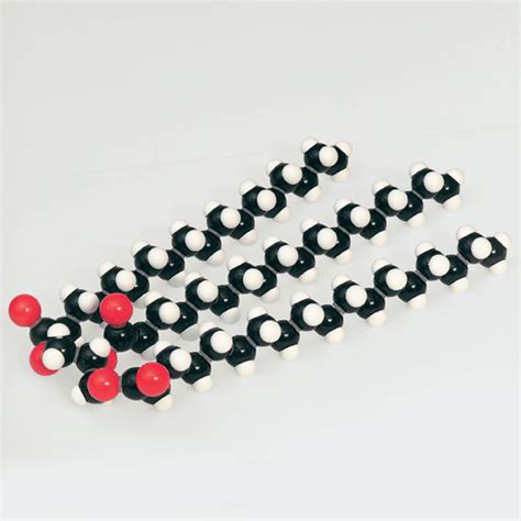 Lipid Molecule Model