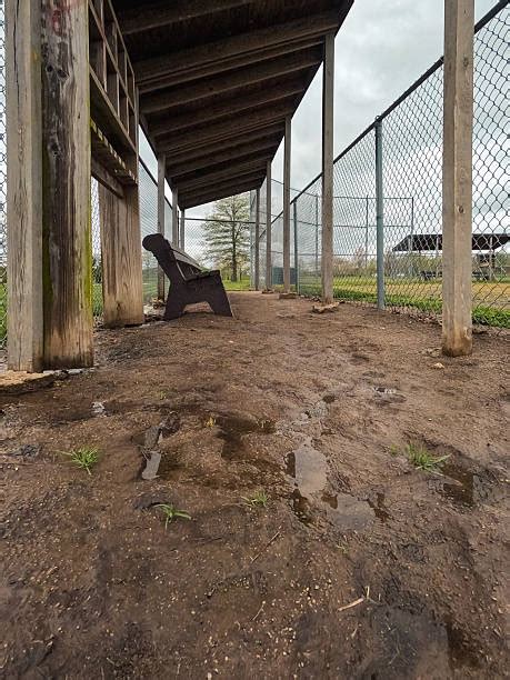 50+ Baseball Softball Baseball Diamond Bleachers Stock Photos, Pictures & Royalty-Free Images ...