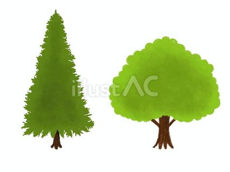 針葉樹と広葉樹イラスト No 24911400｜無料イラスト・フリー素材なら「イラストac」