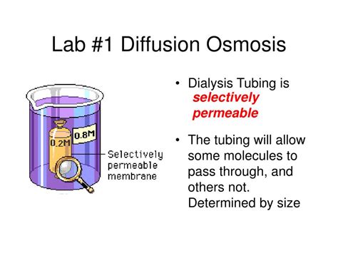 Dialysis Tubing Diffusion