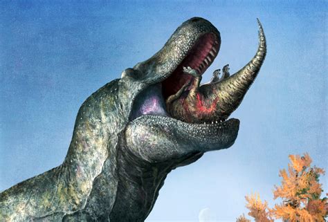 T Rex Had Big Lips That Covered Its Sharp Jagged Teeth
